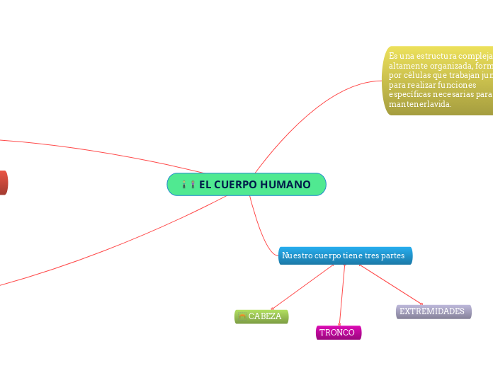EL CUERPO HUMANO - Mind Map