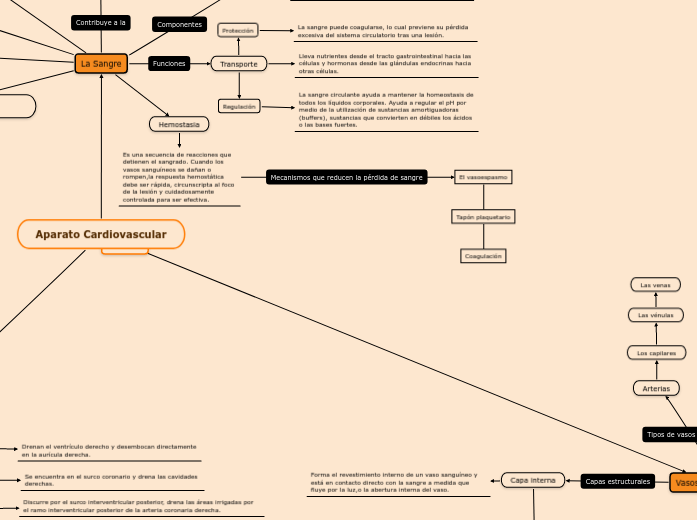 Aparato Cardiovascular - Mind Map