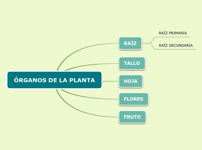 Parts of a Plant - Mind Map
