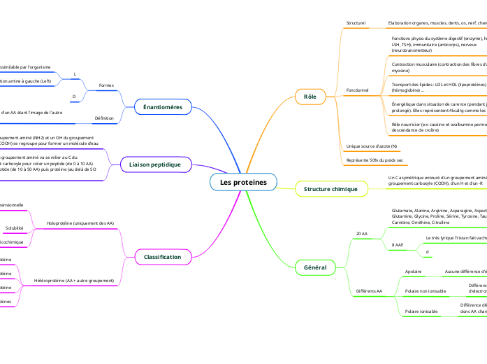Les proteines - Mind Map
