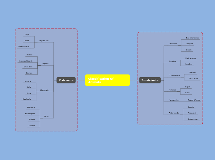 Classification Of Animals - Mind Map