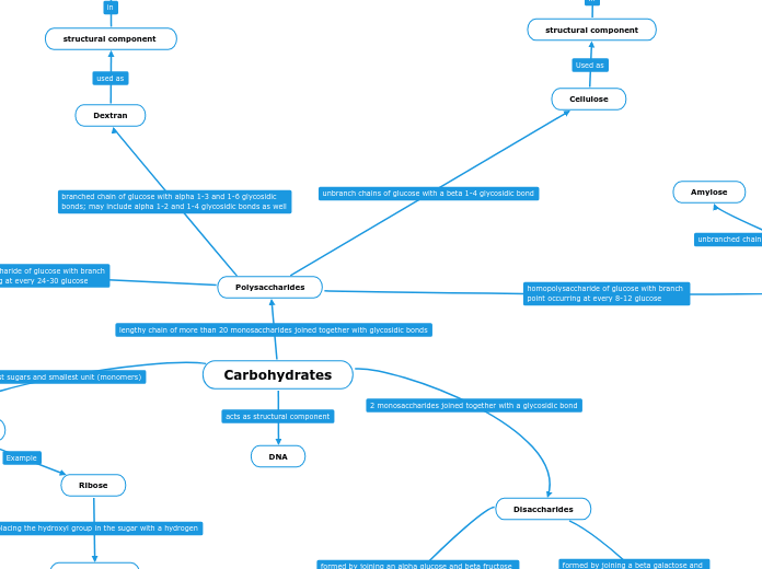 Carbohydrates copy - Mind Map