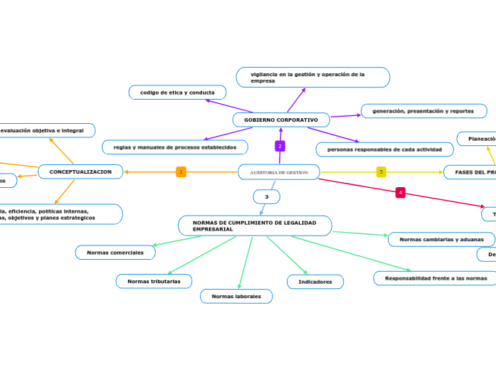 AUDITORIA DE GESTION - Mapa Mental - Amostra