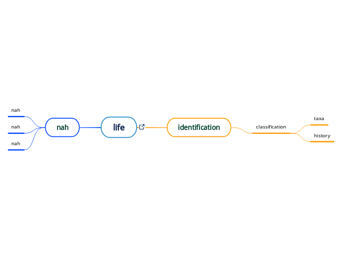 life - Mind Map