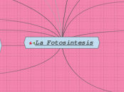 La Fotosintesis - Mind Map