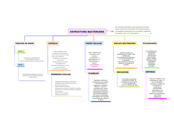 ESTRUCTURA BACTERIANA - Mind Map