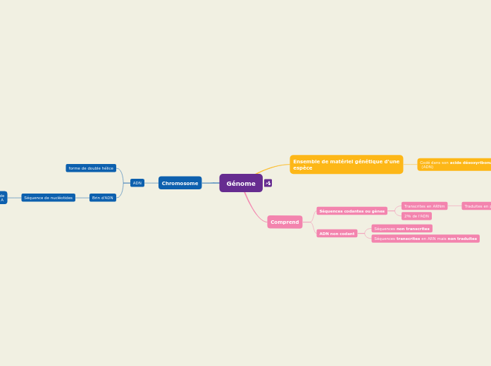 Génome - Mind Map