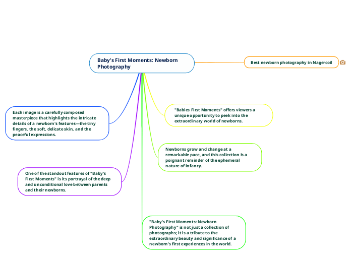 Baby's First Moments: Newborn Photography - Mind Map