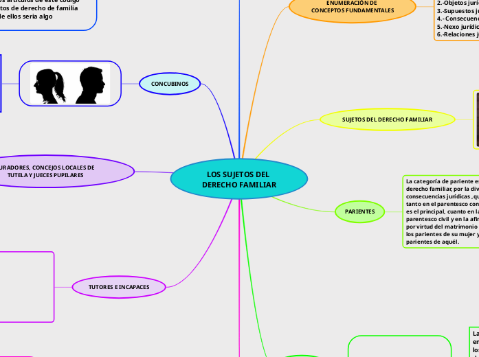 LOS SUJETOS DEL DERECHO FAMILIAR - Mind Map
