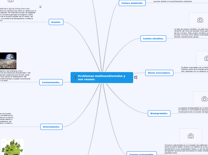 Problemas medioambientales y sus causas. - Mind Map