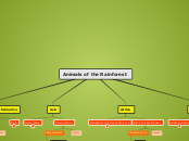 Animals of the Rainforest - Mind Map
