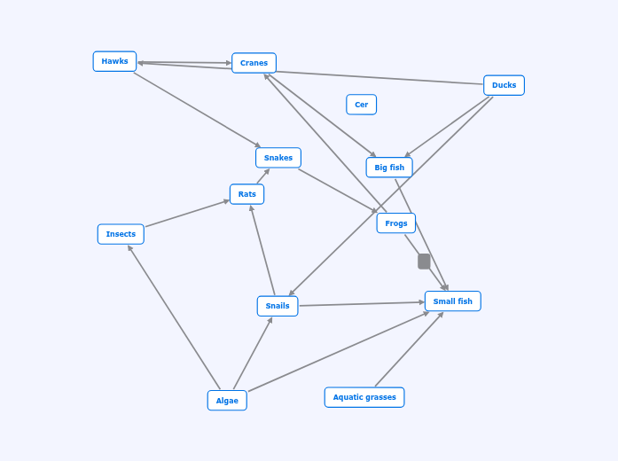 Cer food web - Concept Map