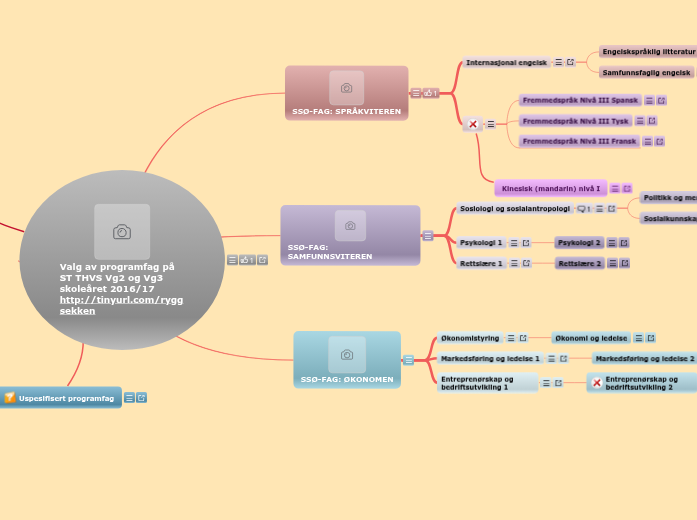 Valg av programfag på ST THVS Vg2 og Vg3 ...- Tankekart