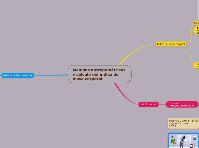 Medidas antropométricas y cálculo del índi...- Mind Map