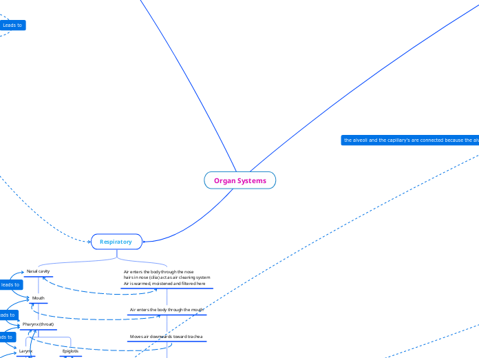 Organ Systems - Mind Map