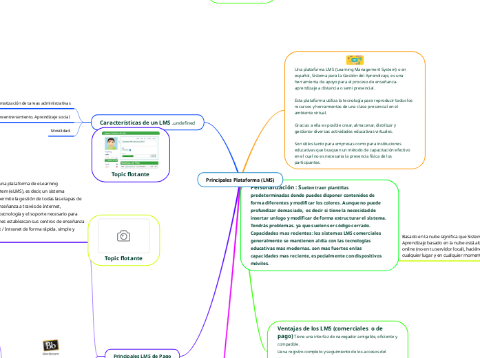 Principales Plataforma (LMS) - Mind Map