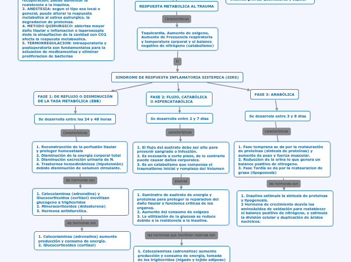 respuesta al trauma - Concept Map