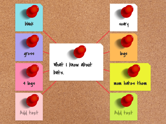 What I know about bats. - Mind Map