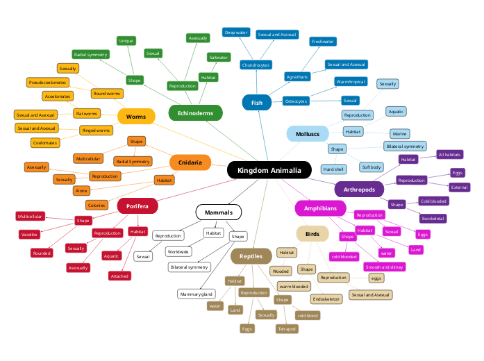 Kingdom Animalia - Mind Map