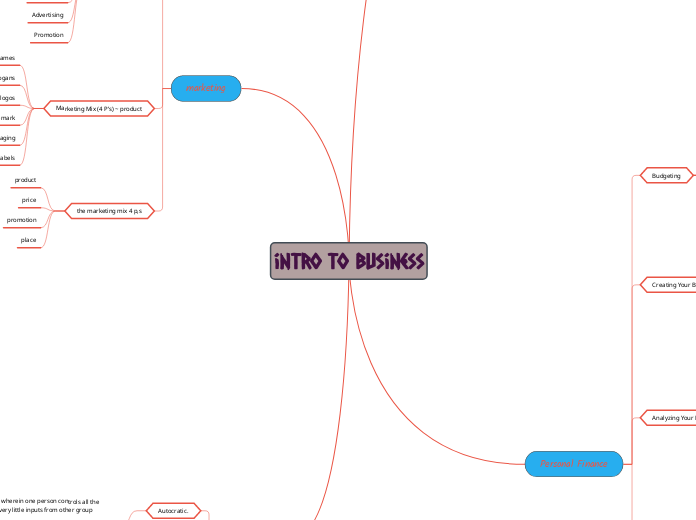 intro to business - Mind Map