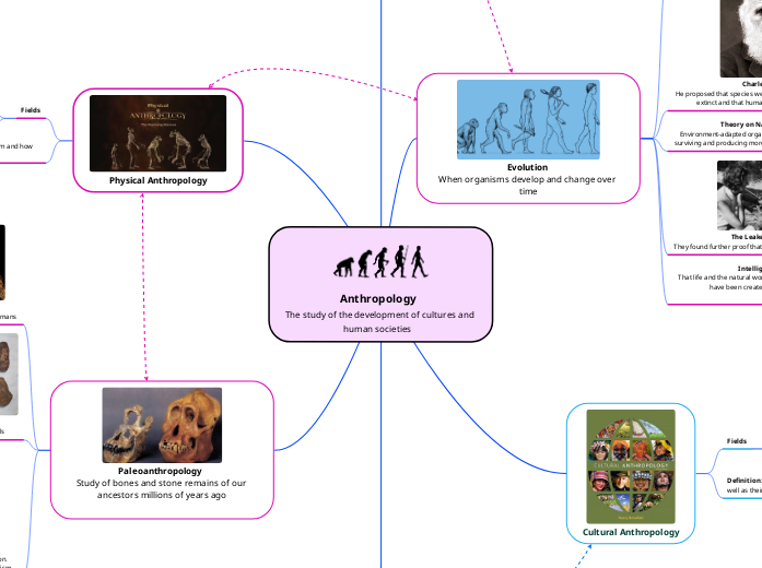 Anthropology The study of the developmen...- Mind Map