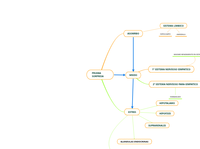 PRUEBA SORPRESA 2 - Mind Map