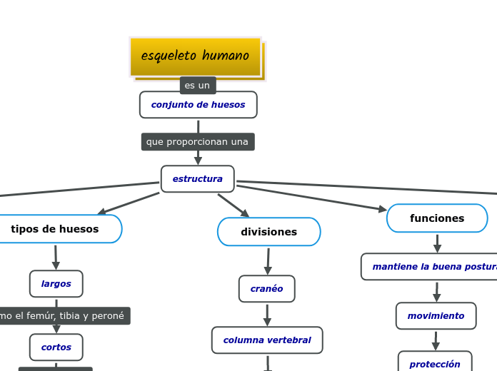 esqueleto humano - Mind Map