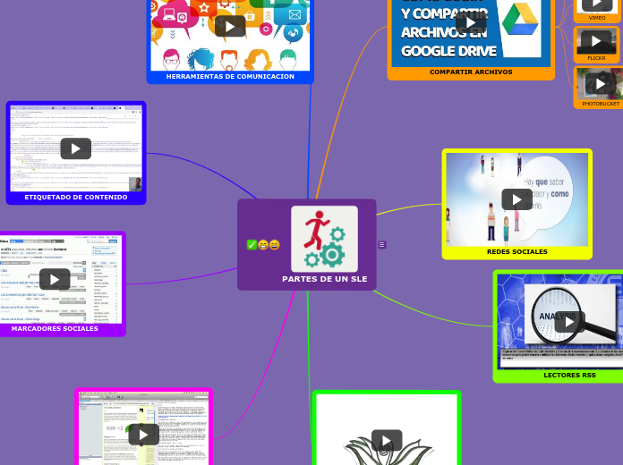 PARTES DE UN SLE - Mind Map