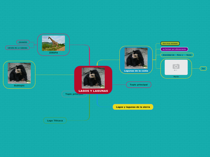 LAGOS Y LAGUNAS - Mind Map