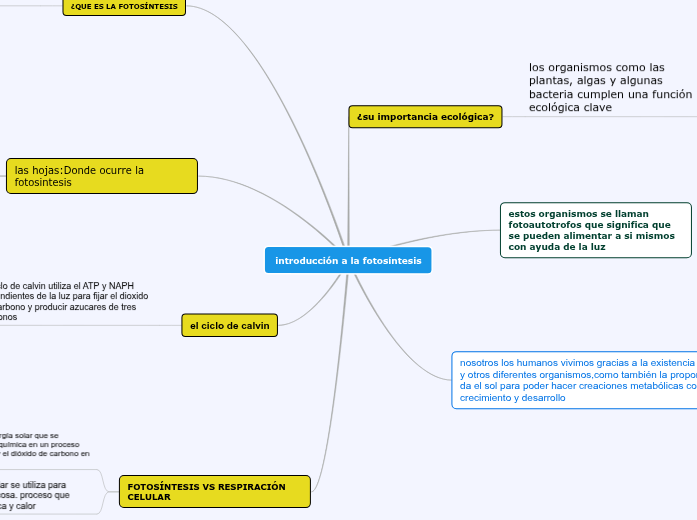 lenguajes de programacion - Mind Map