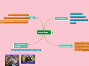 lengua - Mind Map