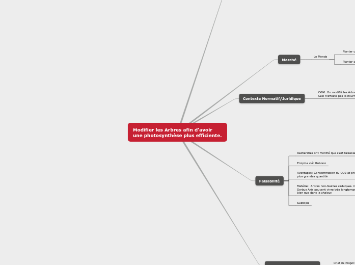 Modified Tree - Mind Map
