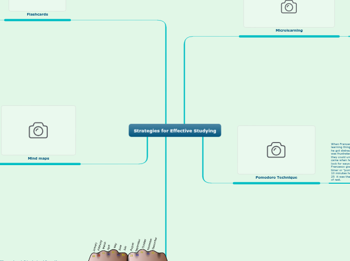 Strategies for Effective Studying - Mind Map
