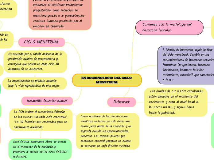 ENDOCRINOLOGIA DEL CICLO MENSTRUAL - Mind Map