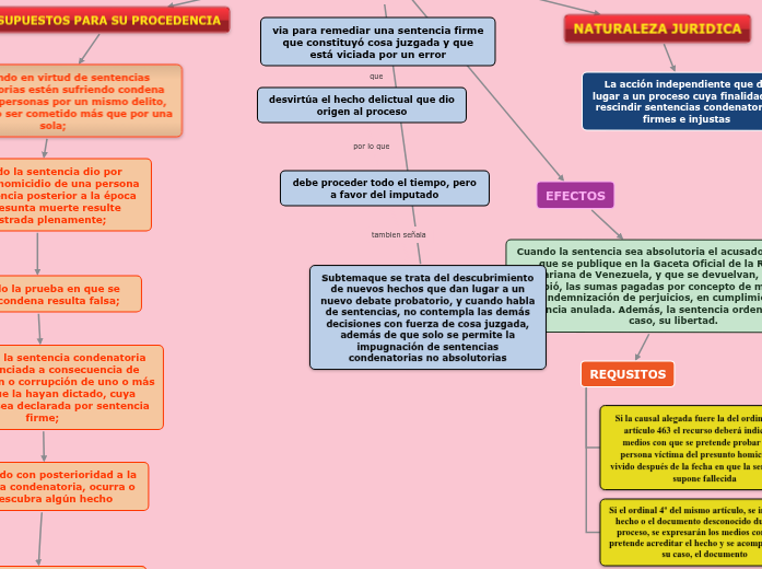 RECURSO DE REVISION - Mind Map