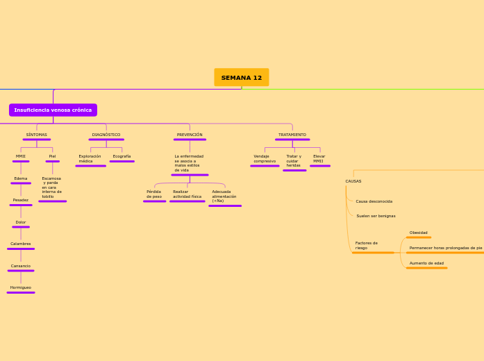 SEMANA 12 - Mind Map