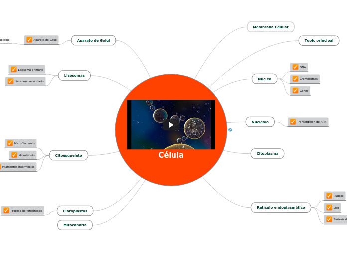 Célula - Mind Map