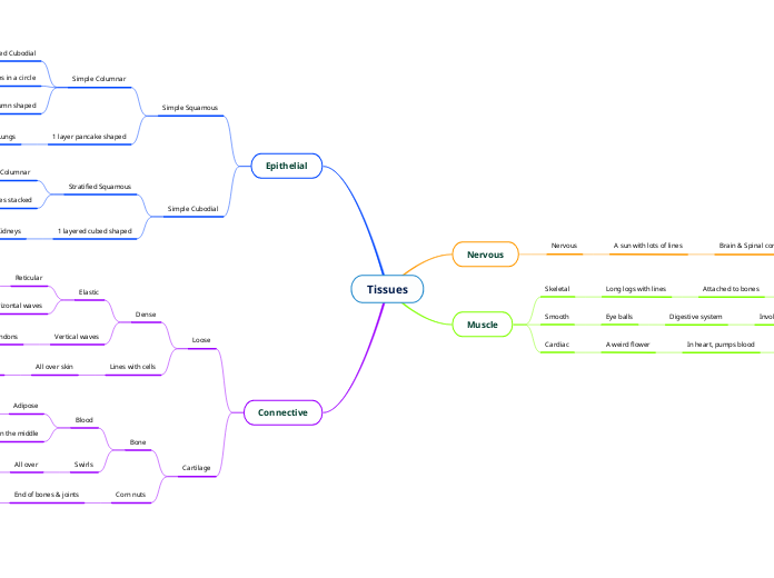 Tissues - Mind Map