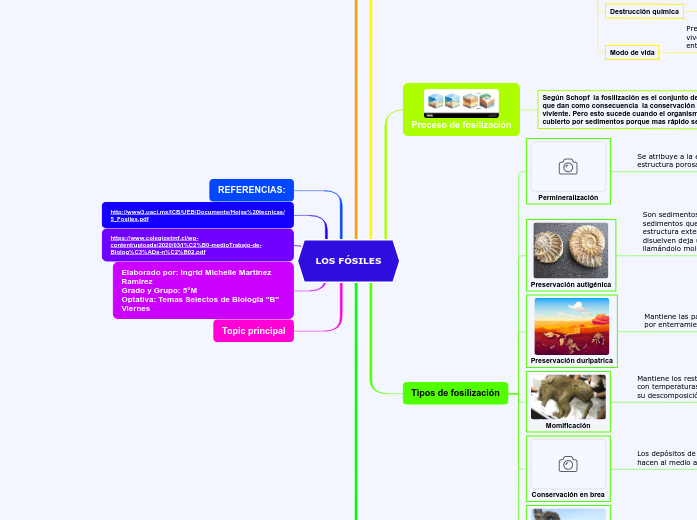 LOS FÓSILES - Mind Map