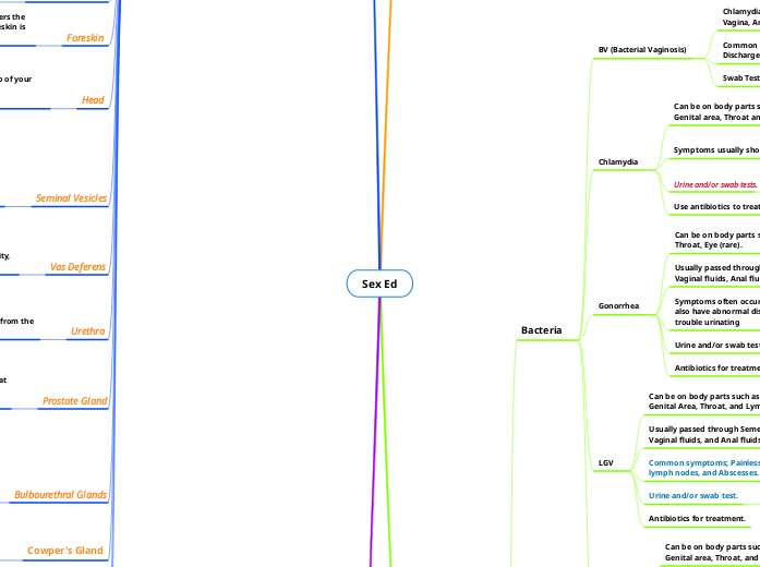 Sex Ed Mind Map