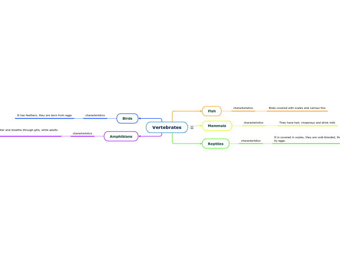 Vertebrates - Mind Map