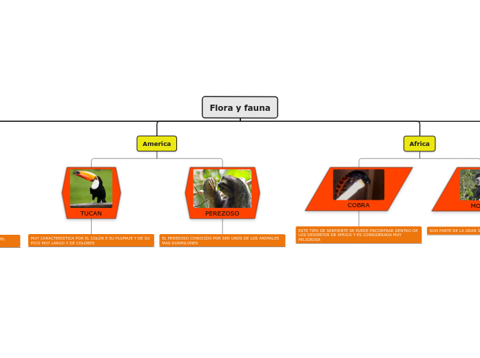 Flora y fauna - Mind Map