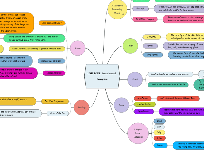 UNIT FOUR: Sensation and Perception - Mind Map