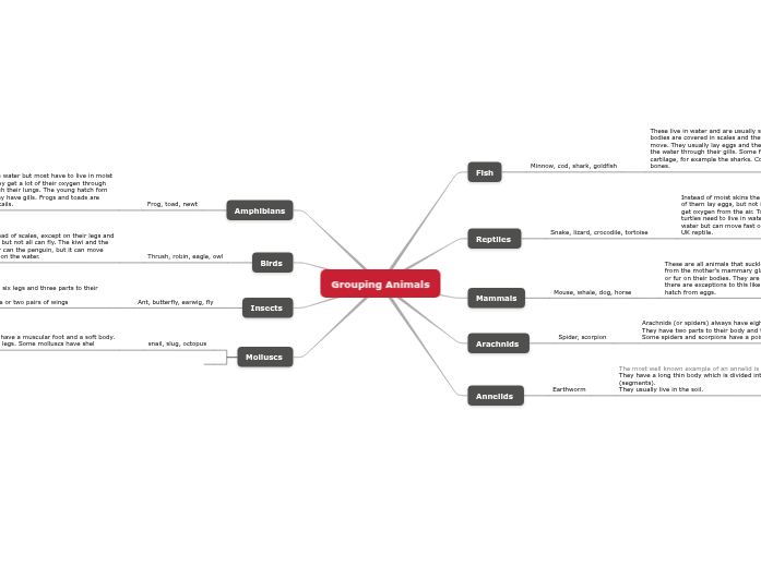 Classification of Living Things - Mind Map