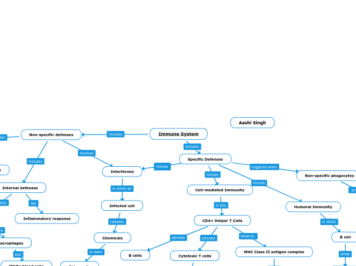 Immune System - Mind Map