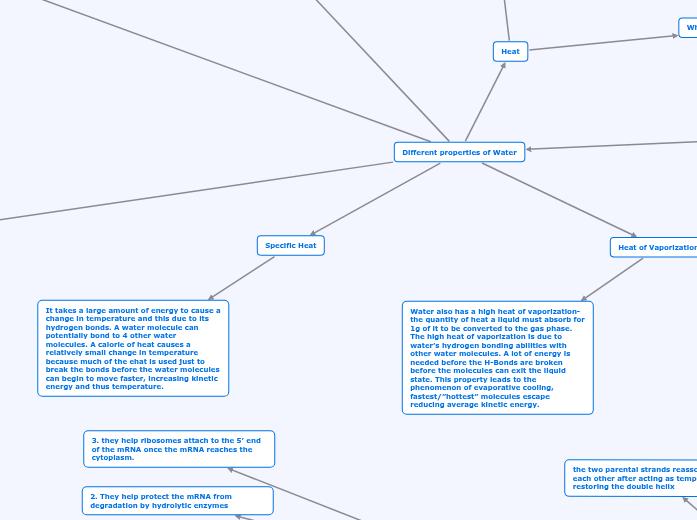 Bio - Concept Map