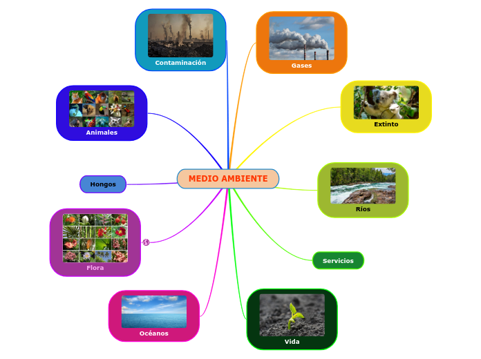 MEDIO AMBIENTE - Mind Map