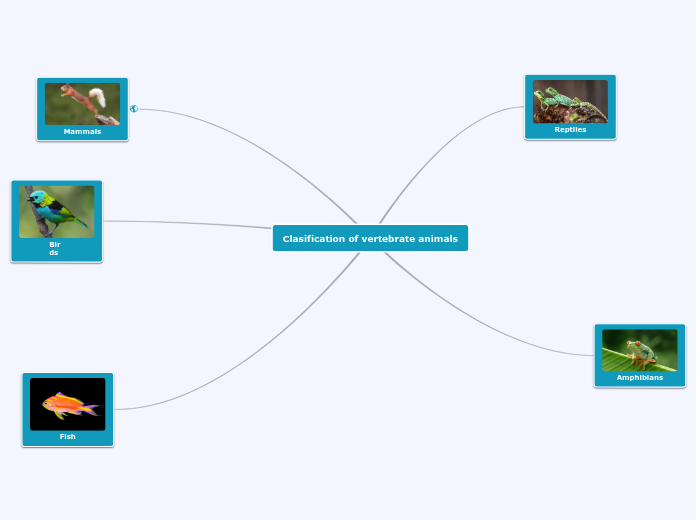 Clasification of vertebrate animals - Mind Map