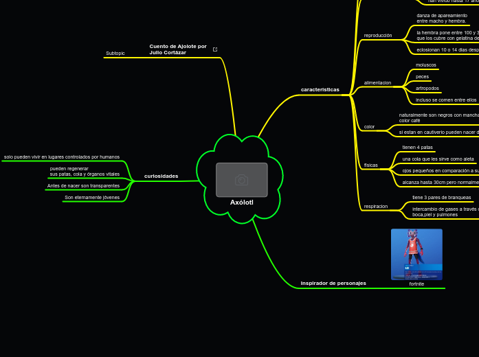 Axólotl - Mind Map