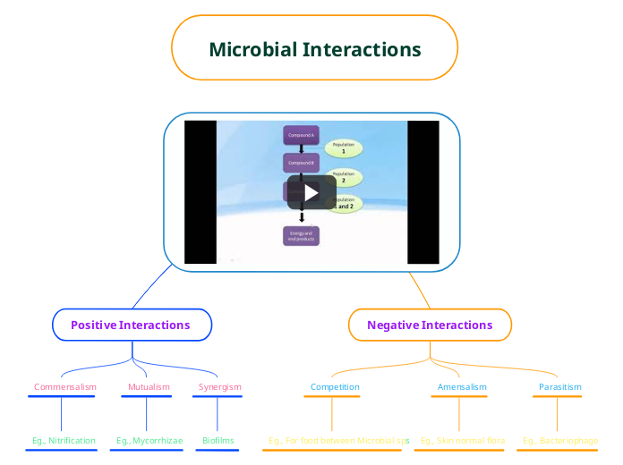 Microbial Interactions - Mind Map